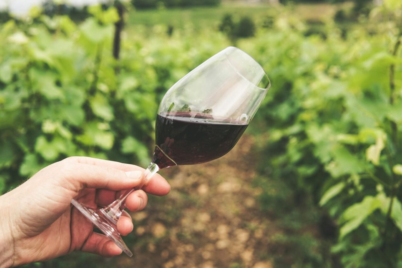 Quels sont les meilleurs vins de loire